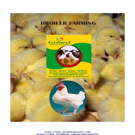 Broiler Farming Guide | PDF