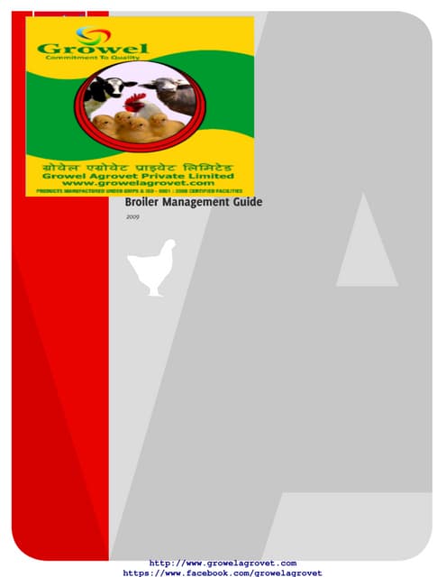 Brown Layer Poultry Farming Guide | PDF | Agriculture | Industries