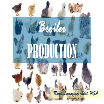 Native chicken production in the philippines | PPT