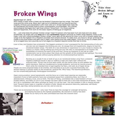 Broken wings | PDF