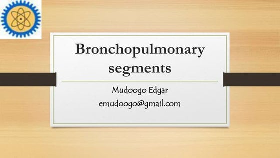 Lungs & bronchopulmonary segments | PPT