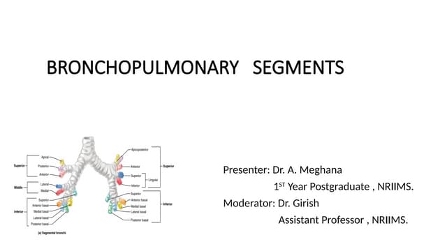 BRONCHOPULMONARY SEGMENTS RADIOLOGY AND IMAGING | PPTX