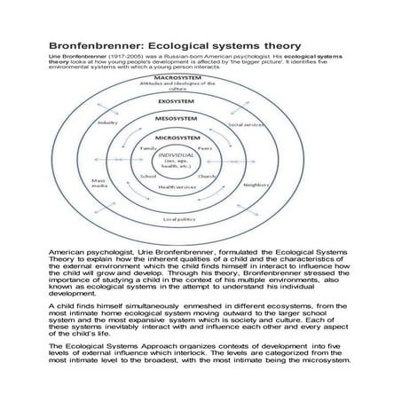 Ecological Systems Theory Examples