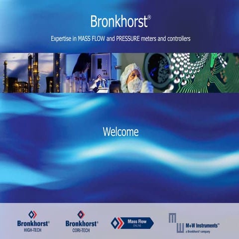 Bronkhorst profile bht 2015 | PPT
