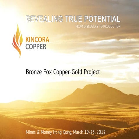 23.03.2012 Bronze fox copper gold project, Abdullo Kurbanov | PPT
