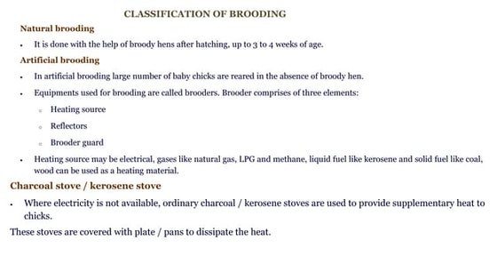 Brooding and management | PPTX