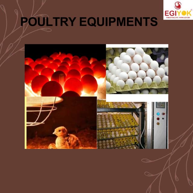BROODING EQUIPMENTS | PPTX
