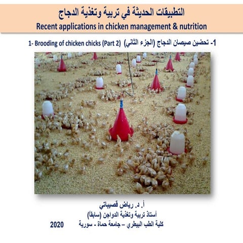 1- Brooding of chicken chicks (part 2) (2 تحضين صيصان الدجاج (الجزء | PDF