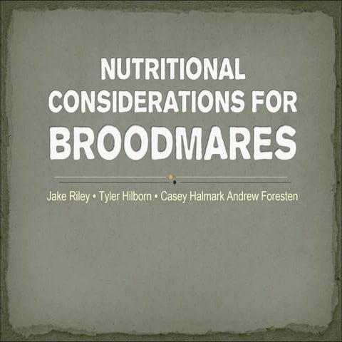 Broodmare Nutrition | PPT