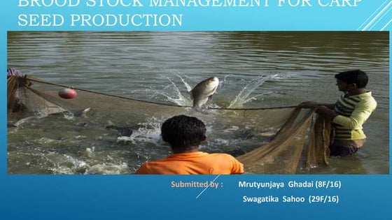 Induced breeding of indian major carps | PPT