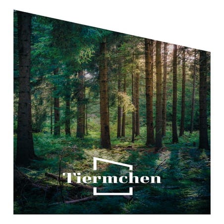 Brochure BSP 2016 | PDF
