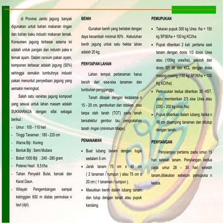 Brosur-Budidaya-Jagung-Komposit-Wilson Markoni.pdf
