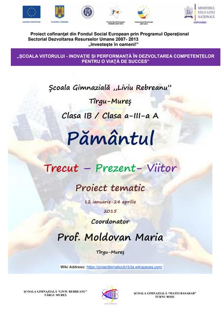 Fisa gen liric | PDF