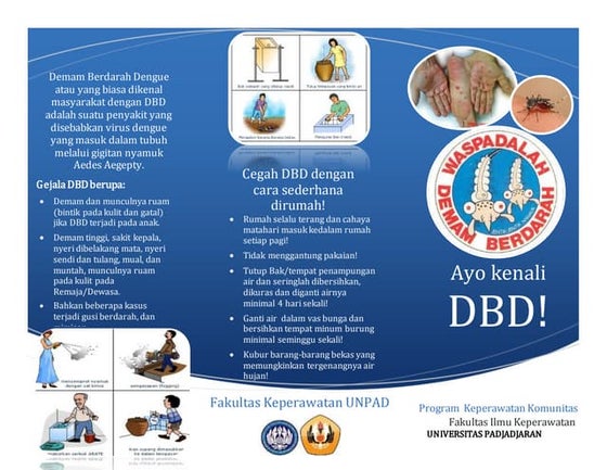 MATERI PENYULUHAN DEMAM BERDARAH | PPTX
