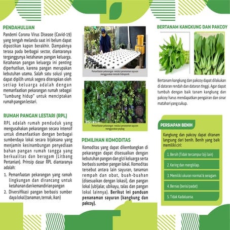 Brosur pengabdian p2 l | PDF