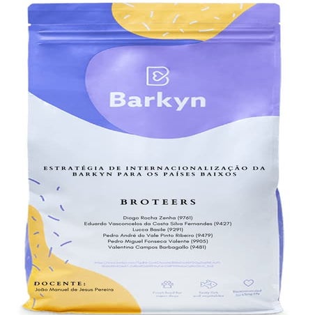 Estratégia de Internacionalização da Barkyn para os Países Baixos | PDF