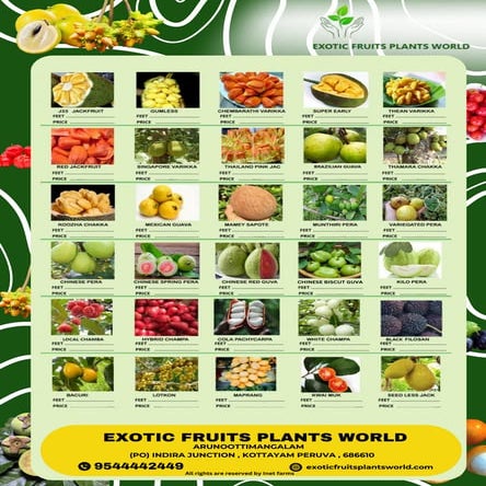 Best organic fruit plants in kerala , india | PDF
