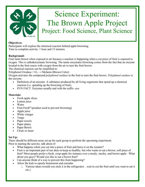 Lecture 4 browning reaction | PDF