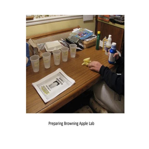 Browning Apple Lab | PDF