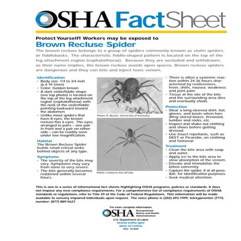 Brown recluse spider (1) | PDF