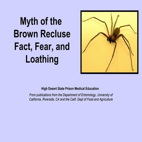 Brown recluse spider myth of the | PPT