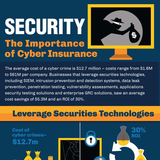 Cyber Insurance Infographic | PDF