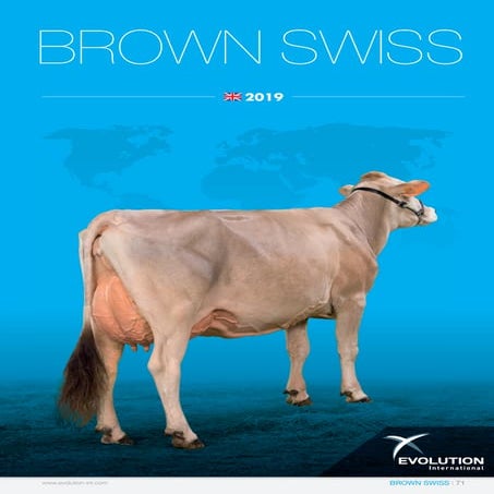 Brown swiss en_2019_evolution_international | PDF | Genetics | Science