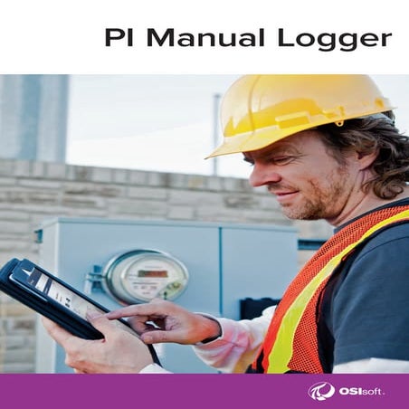 PI Manual Logger | PDF