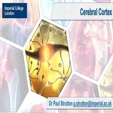 BRS2%20Neuro%20LE2%20Cerebral%20Cortex.pptx