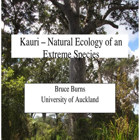 Bruce burns | PDF