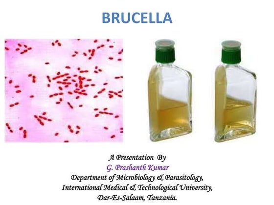 Brucellosis ppt | PPT
