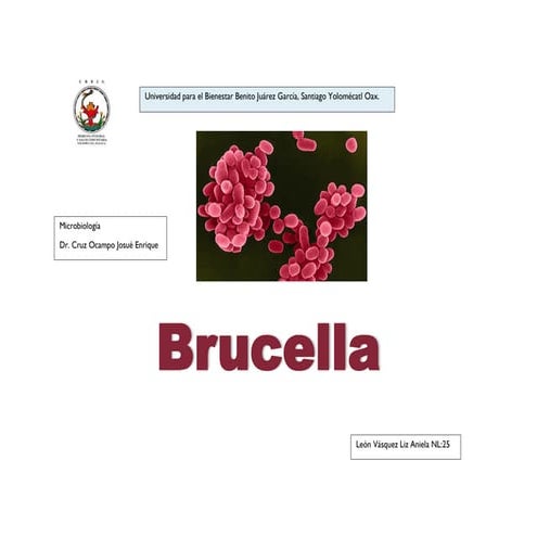 Brucella.pdf