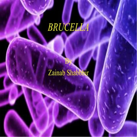 BRUCELLA.pptx