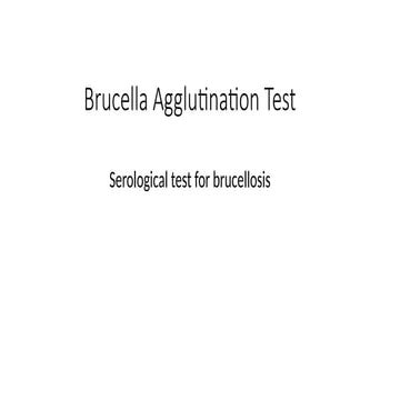 Brucella test (rose bengal test) | PPTX