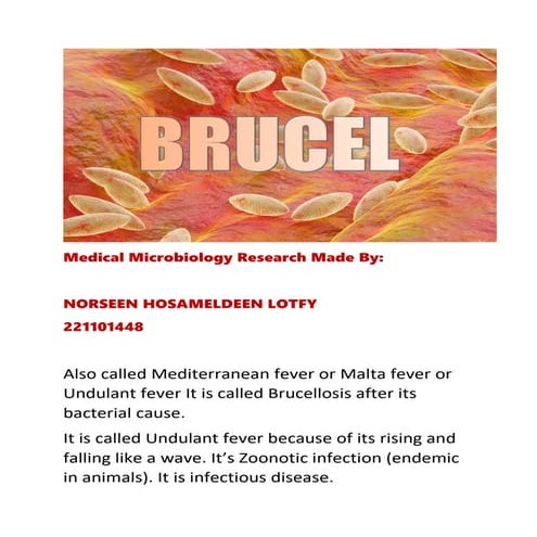 Brucella | DOCX