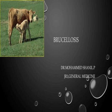 Brucellosis | PPTX