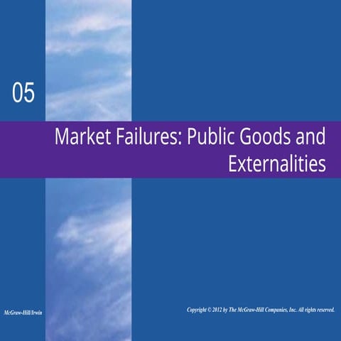 Brue market failures Ch 5 Powerpoint.pptx