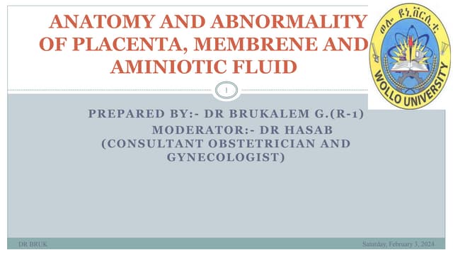 Placental anatomy and its functions | PPTX