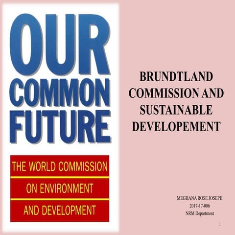 Brundtland report