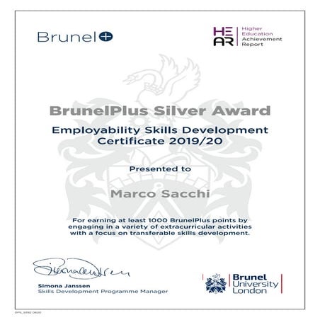 Brunel Plus Silver Award | PDF