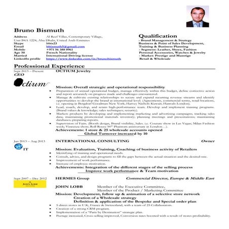 Bruno bismuth, 2015 resume | PDF