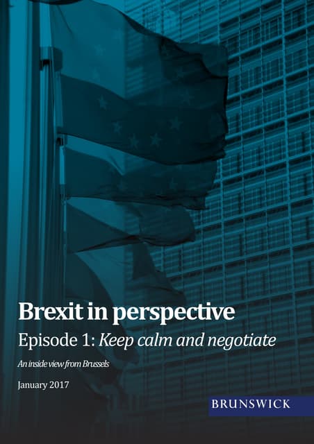 The Rise of Prince Mohammed bin Salman | PDF | Political Issues & policy | Politics