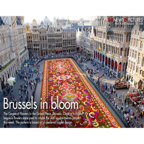 Brussels In Bloom | PPT