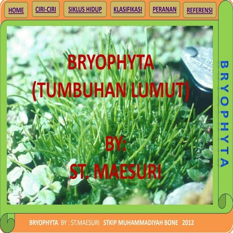 Bryophyta 2012 1 | PPTX
