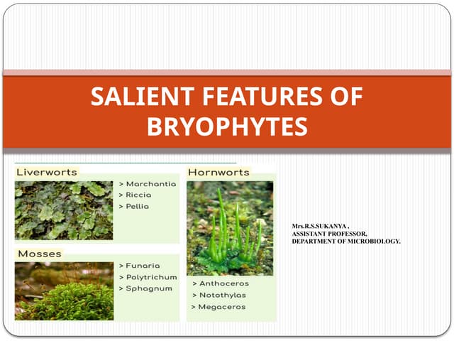 Origin and evolution of bryophytes | PPTX