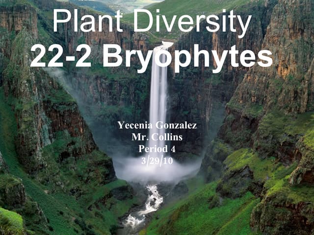 Economic and Ecological Importance of Bryophytes.pptx