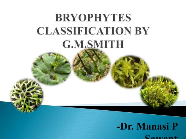 Evolution of sporophyte in bryotphytes | PPTX