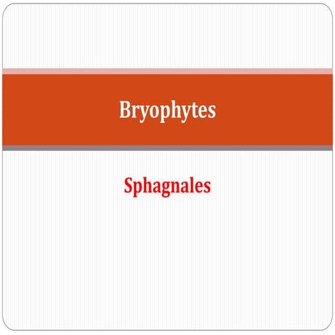 POGONATUM : morphology, anatomy, reproduction etc. | PPTX