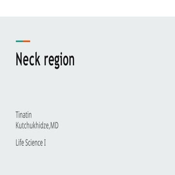 BS- II 13.Neck region Anatomy Neck .pptx