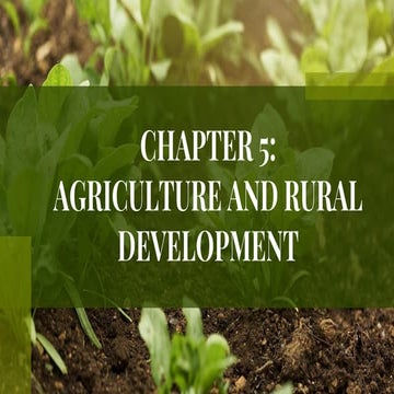 BSA3A-GROUP-2-AGRICULTURE-AND-RURAL-DEVELOPMENT.pdf